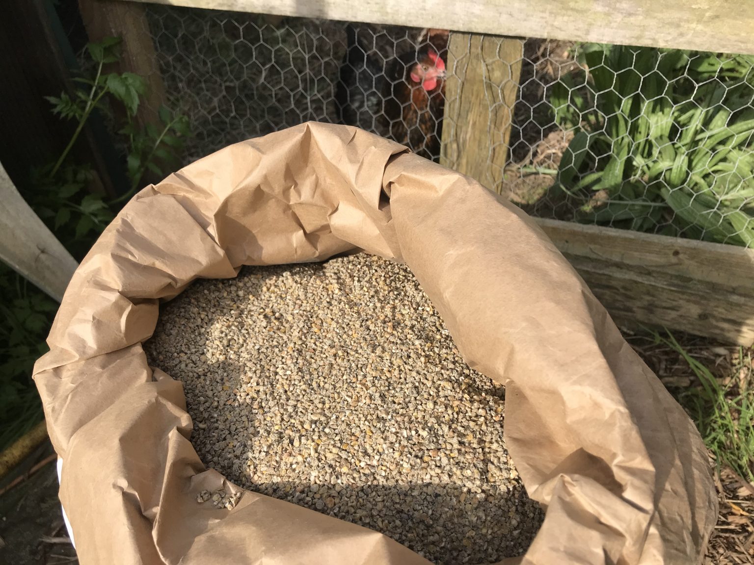 Aliment poule pondeuse bio et sans OGM, sac 25kg - PLaisible